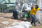 PocoLoco PaintballHornets Nest - Paintball and Airsoft Field Photo Gallery